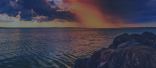 Resources | Bernicke Wealth Management